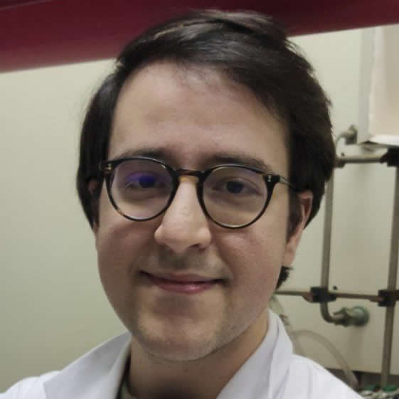 Team – UL FFA Research Groups