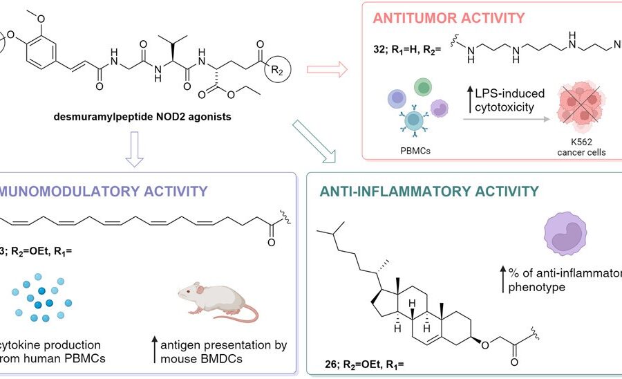 UL FFA Research Groups – UL FFA Research Groups