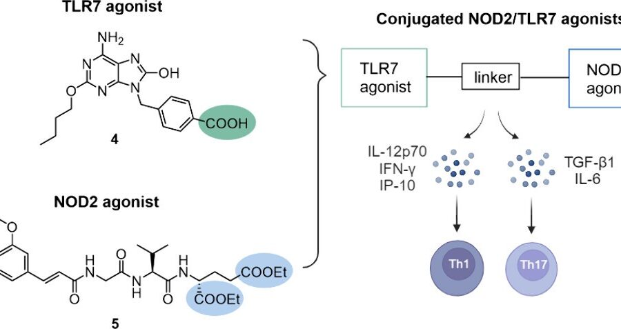 UL FFA Research Groups – UL FFA Research Groups
