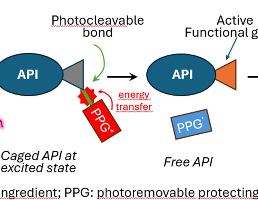 UL FFA Research Groups – UL FFA Research Groups